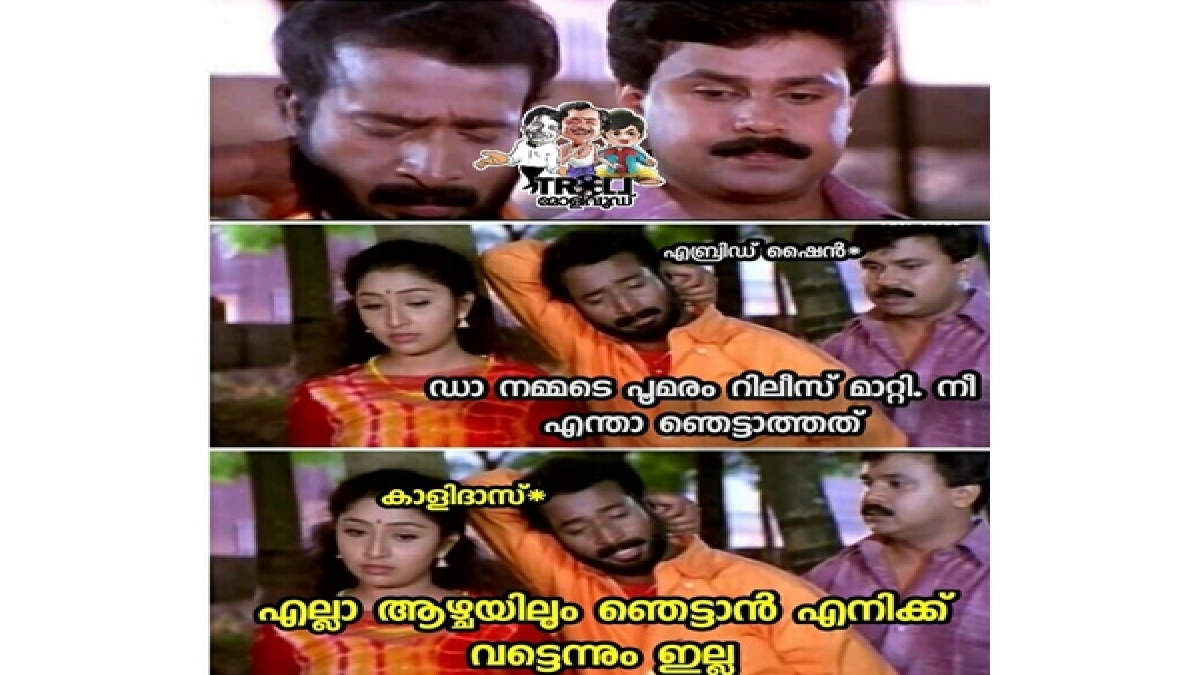 Kalidas Jayaram's Poomaram troll viral on social media - Malayalam ...