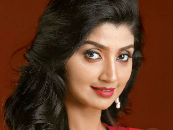 How Divya Unni overcome her past life - Malayalam Filmibeat