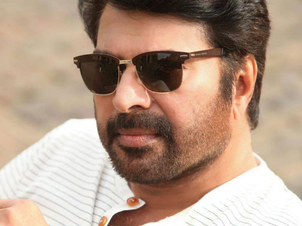 Face app makes Mammootty as aged man goes viral - Malayalam Filmibeat