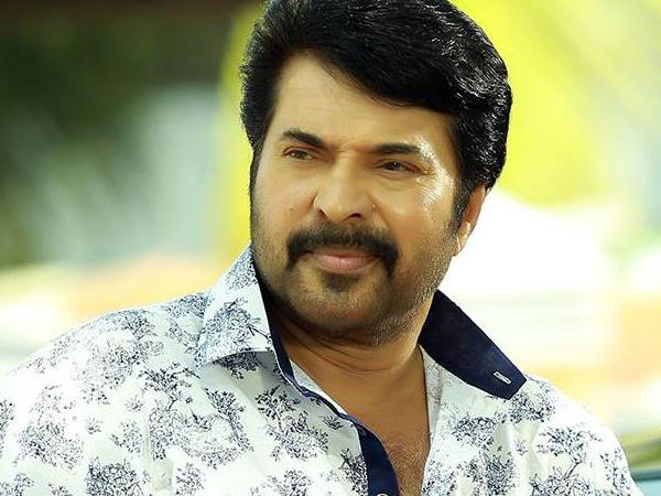 When a housewife's dream come true about Mammootty - Malayalam Filmibeat