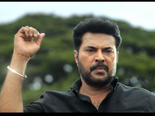 Ajay Vasudev about Mammootty's look in Masterpiece - Malayalam Filmibeat